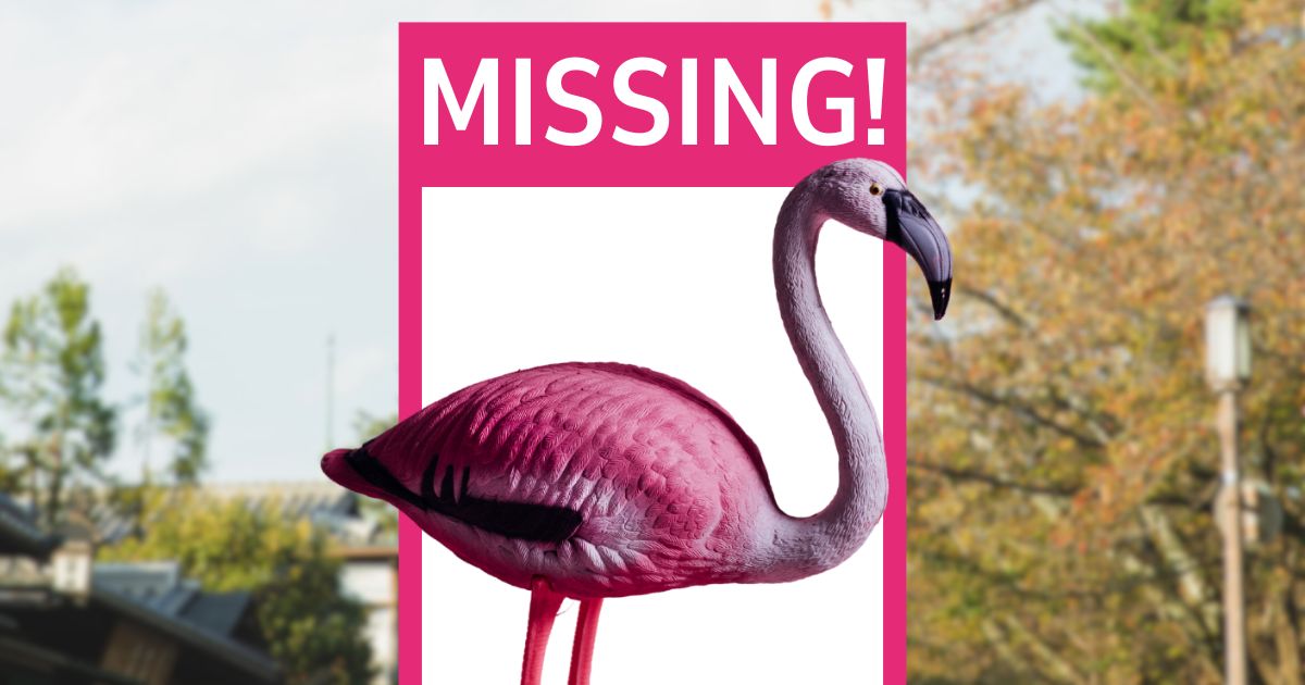 Parma Flamingo: Three Arrested in Alleged Vandalism | The Popular Flamingo