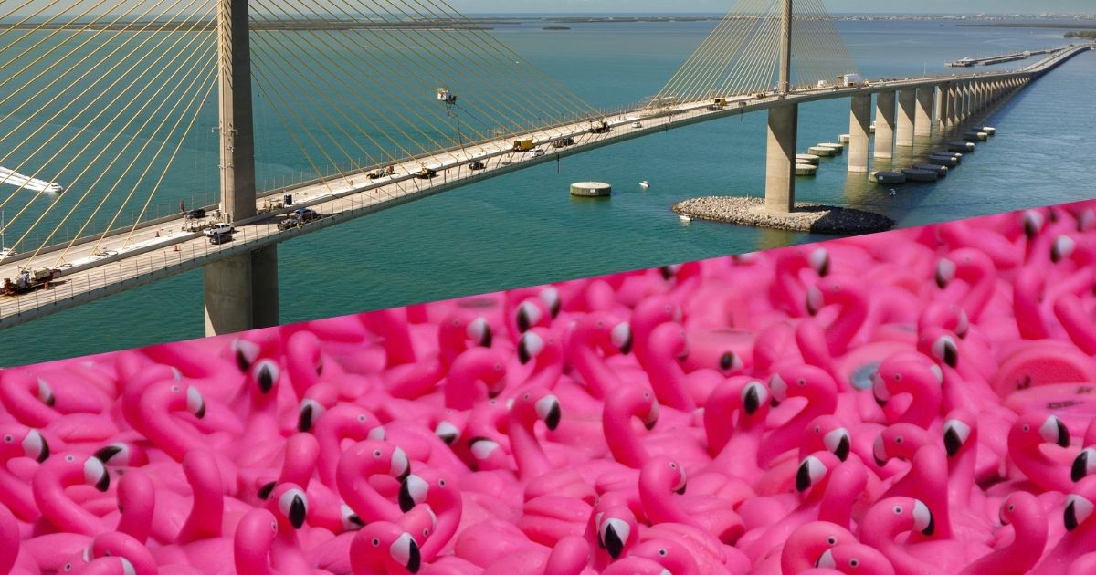 Tampa Bay's First Flamingo Float Is This Weekend! | The Popular Flamingo