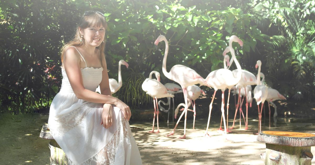 Do People Eat Flamingos?