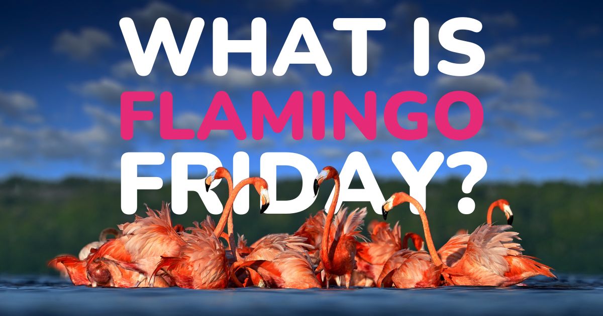 What Is Flamingo Friday? | The Popular Flamingo